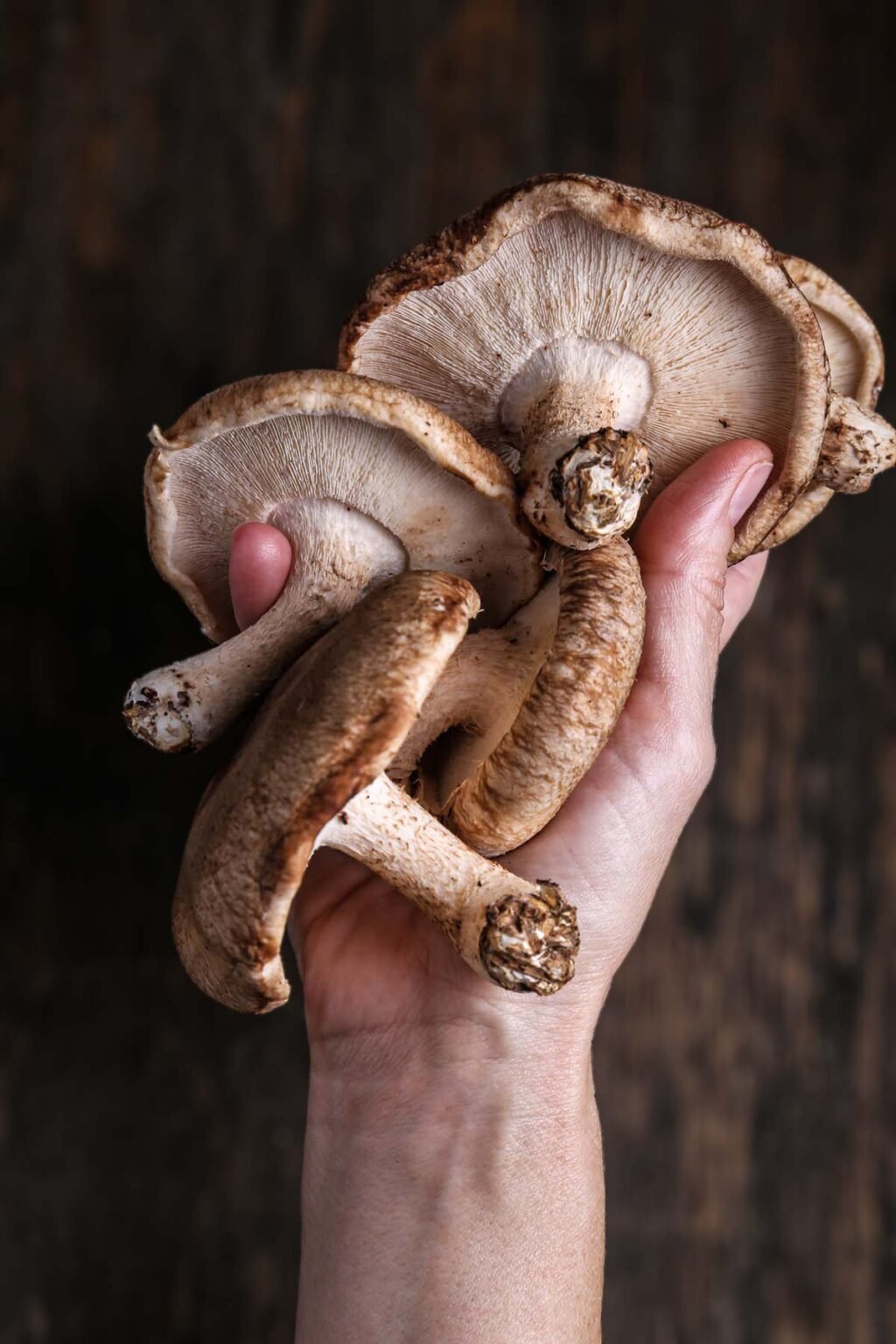 How To Cook Shiitake Mushrooms: A Complete Guide | Olives for Dinner