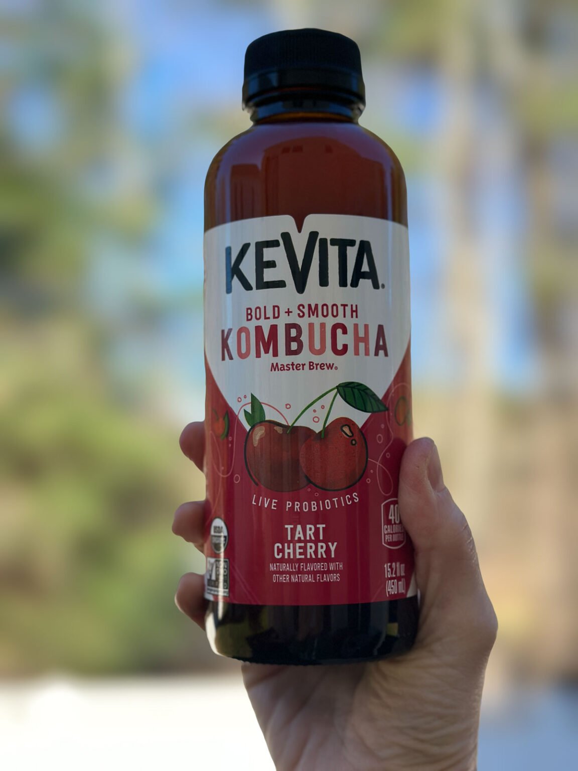 Best Brands of Kombucha (Our Top 10 Picks) | Olives for Dinner